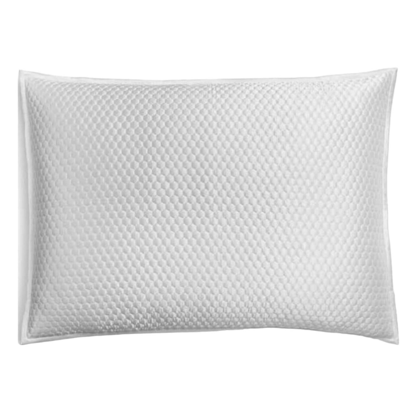 Hotel Collection Layered Frame Full/Queen Quilted Coverlet